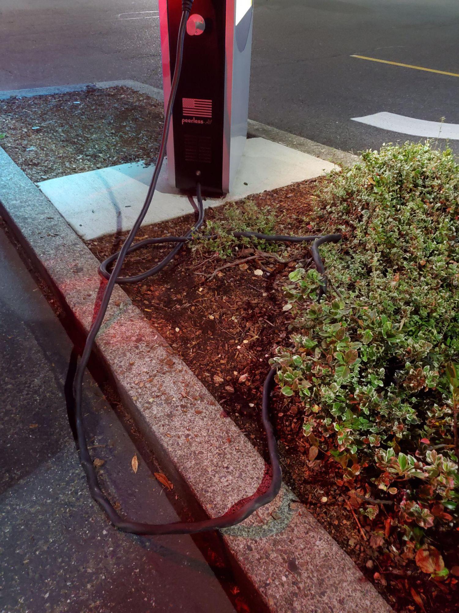Safeway Roosevelt Way | Seattle, WA | EV Station