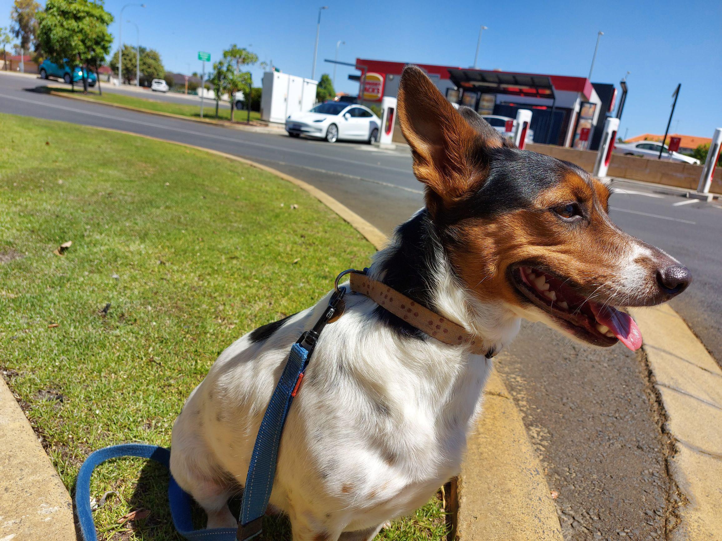 Eaton Fair Shopping Centre | Eaton, WA | EV Station