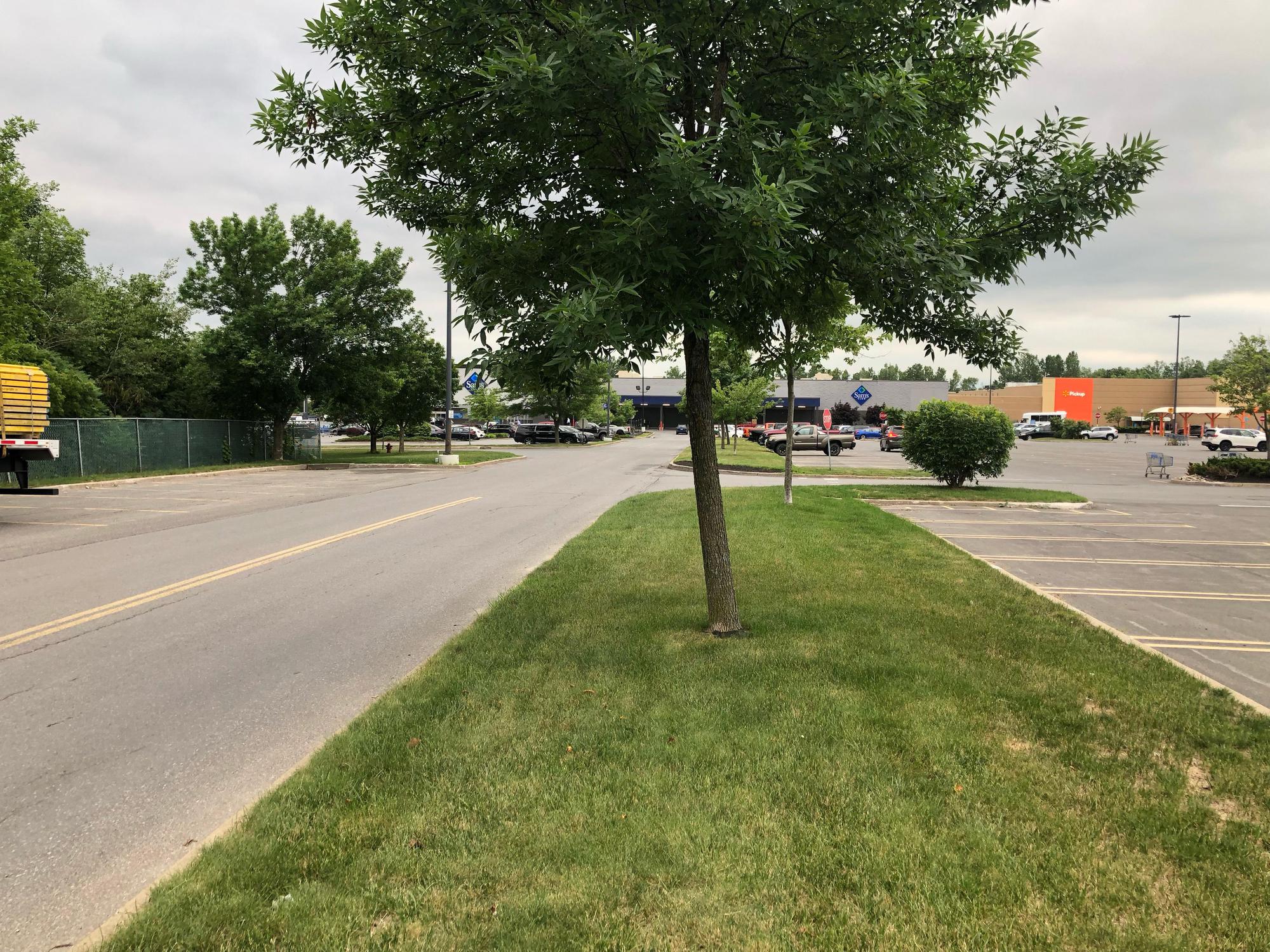 Consumer Square Plattsburgh | Plattsburgh, NY | EV Station