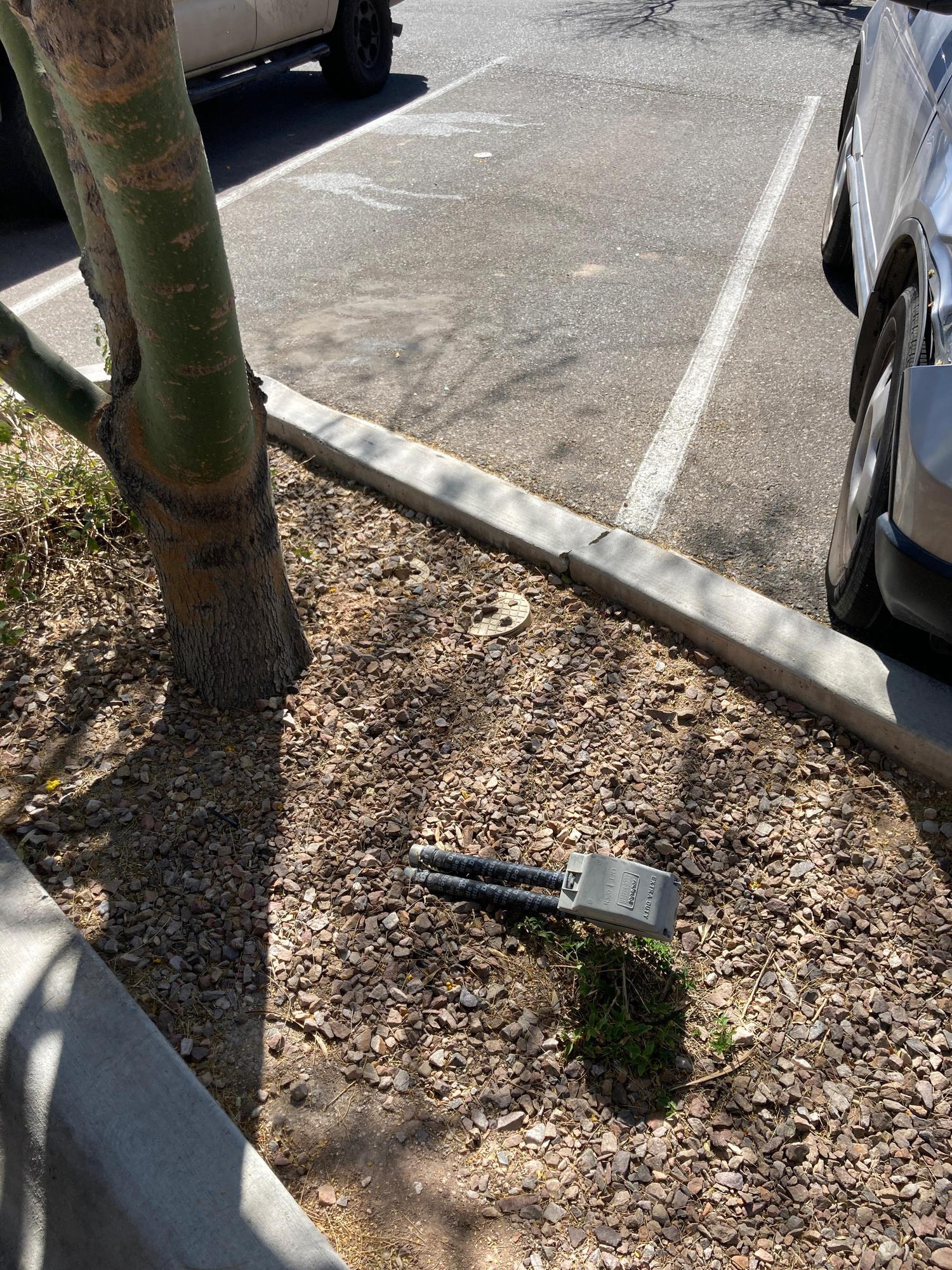 Tucson Mall - REI | Tucson, AZ | EV Station
