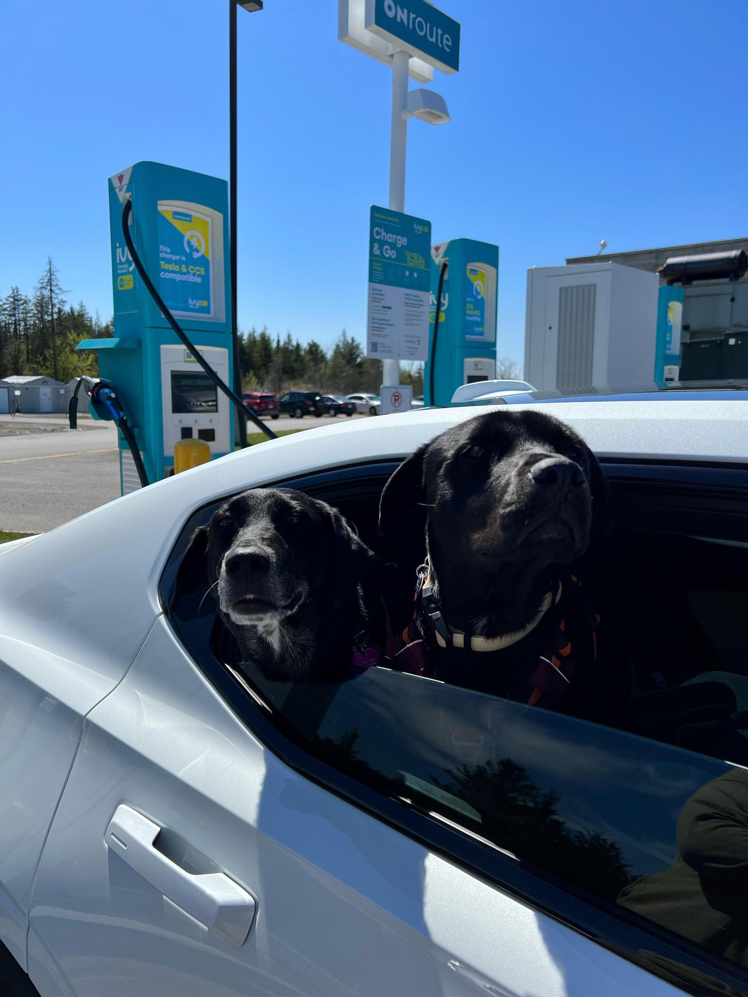 ONroute Odessa 401 Eastbound | Kingston, ON | EV Station