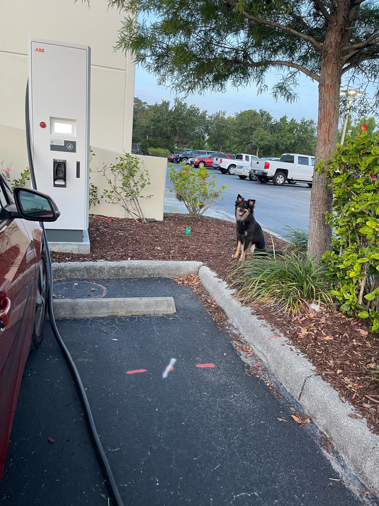 Autonation Cadillac Port Richey Vehicles