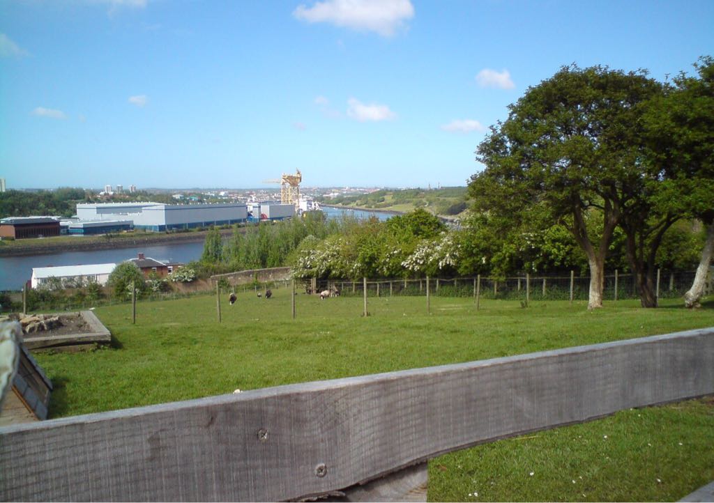 Bill Quay Community Farm | Gateshead, England | EV Station
