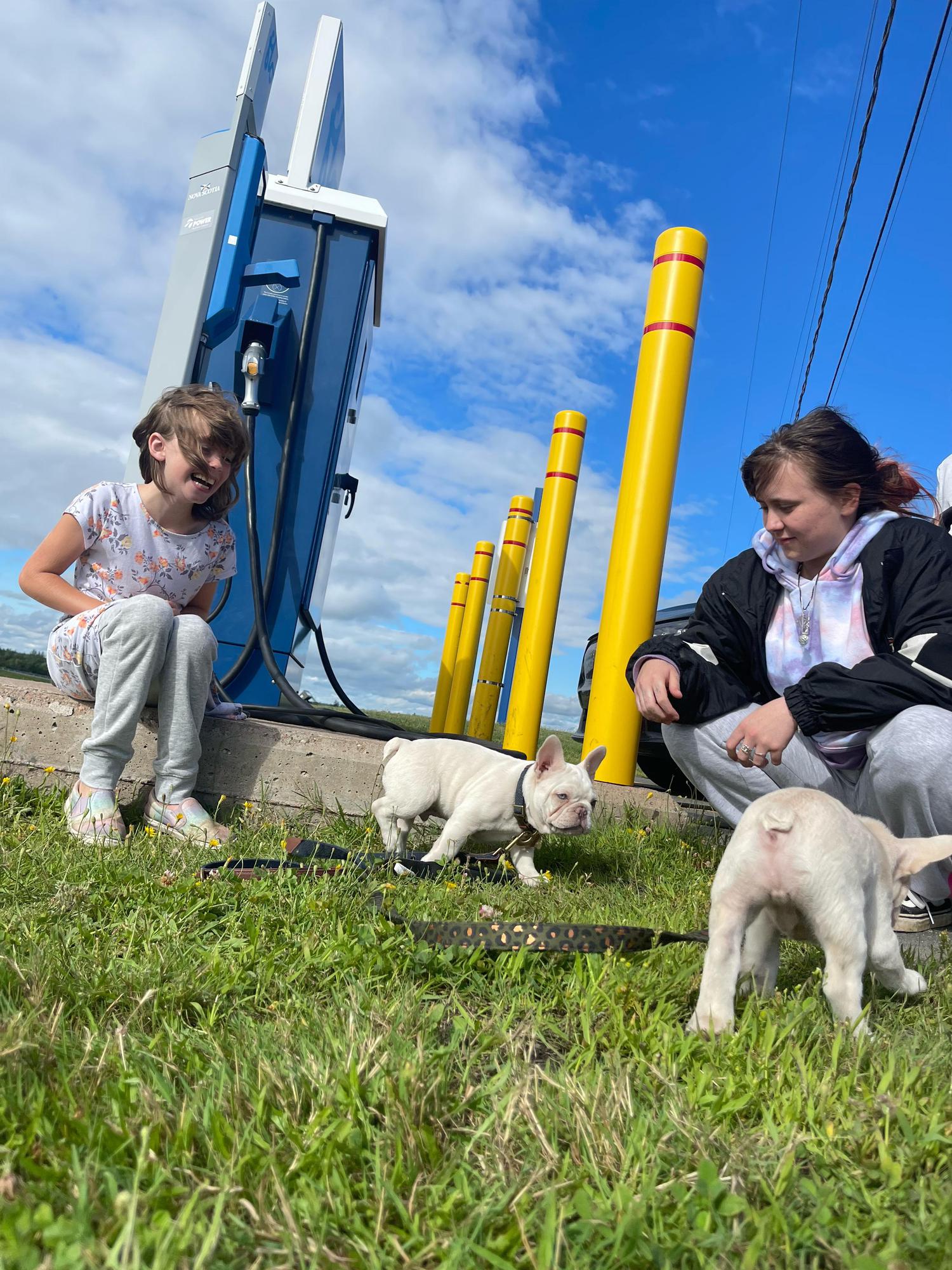 Masstown Butcher Shop & Creamery (1) | Masstown, NS | EV Station