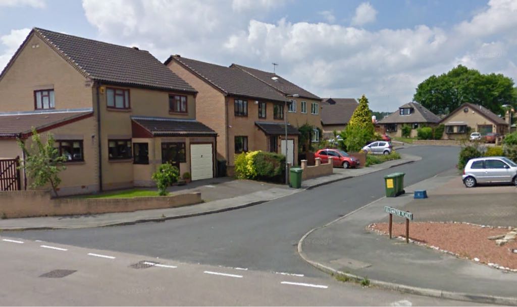 Moggy Maid - Home Cat Sitter Business | Dronfield Woodhouse, S18 8NX ...