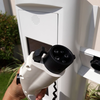 BTCPower Inc. Cebu | Lapu-Lapu City, Central Visayas | EV Station